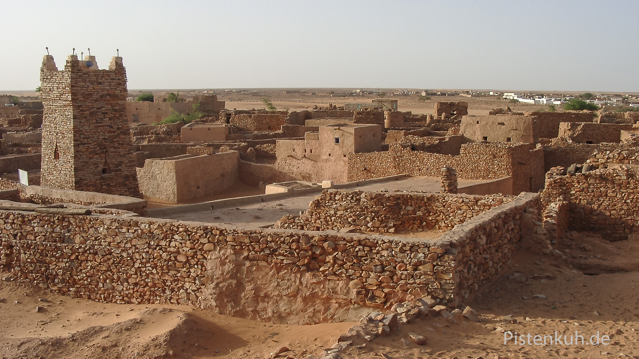 Mauretanien - Chinguetti - Pistenkuh