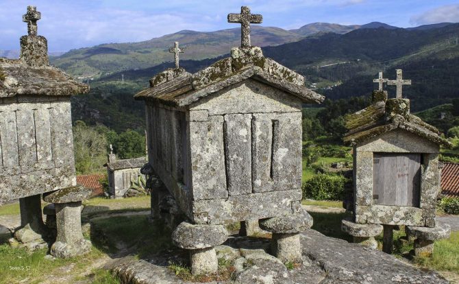 Wild Guide Portugal: Magische Orte, versteckte Strände und das süße ...